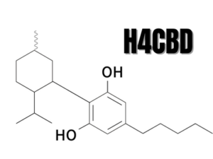 H4CBDはCBDの100倍?効果・安全性・ ネットで買える最安原料調達先は？ - LifeLUX ライフラックス